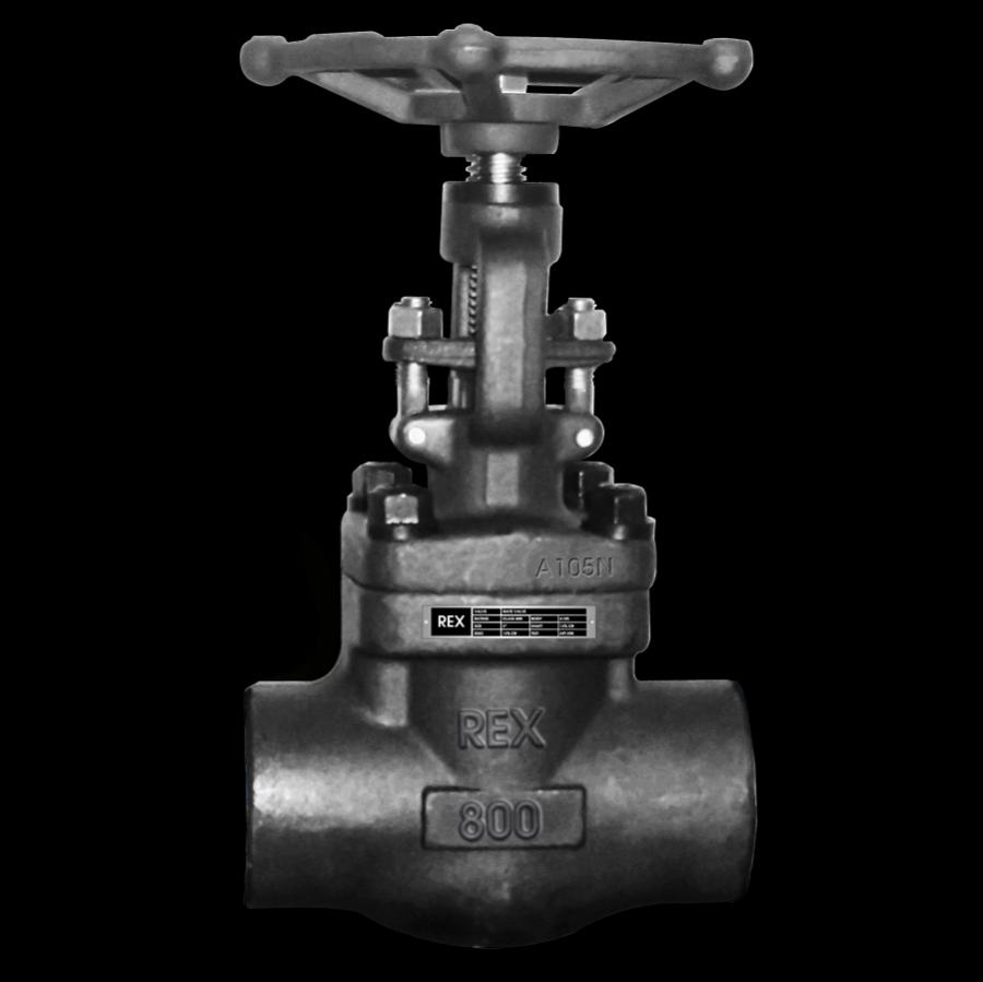 Gate Valve Class #800 SW/NPT FS A105N - Gate Valve - Gate Valve - PT ...