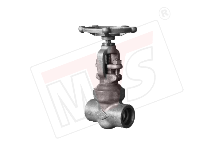 Gate Valve Class 800 SW, SUS304L - Gate Valve - Gate Valve - PT. Mitra ...